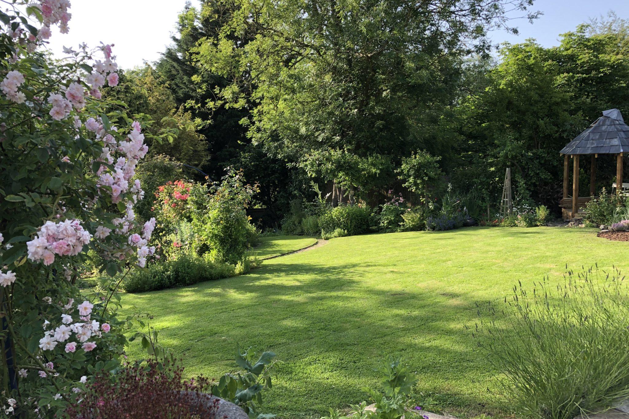 Herb Garden – Anne McIntyre