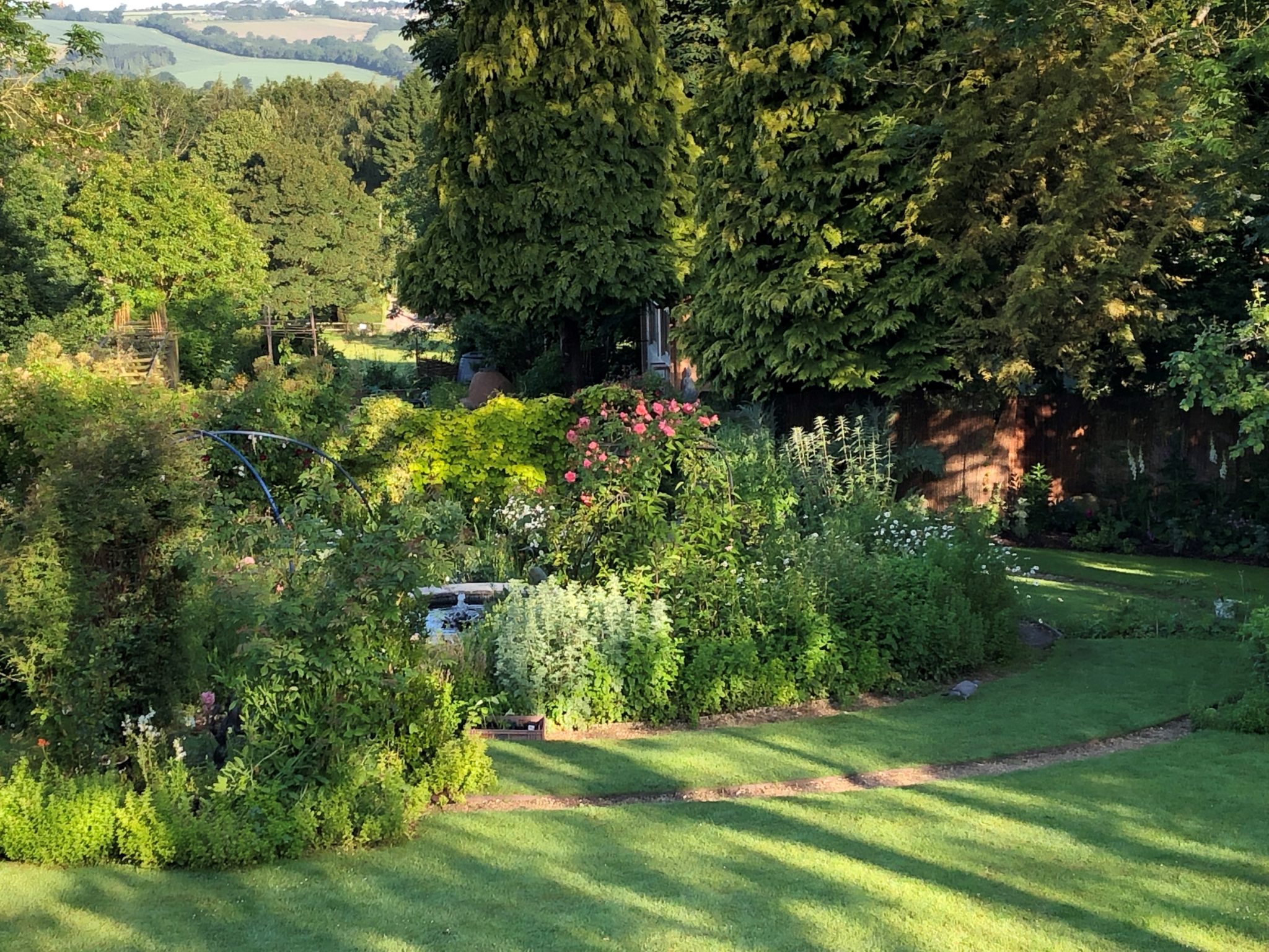 Anne McIntyre – Medical Herbalist & Ayurvedic Practitioner