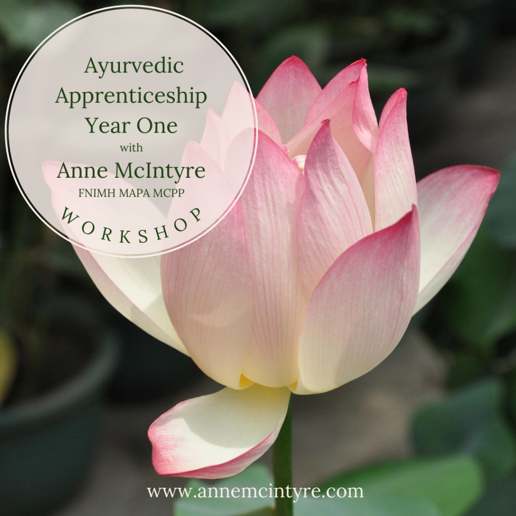 Courses & Workshops – Anne McIntyre