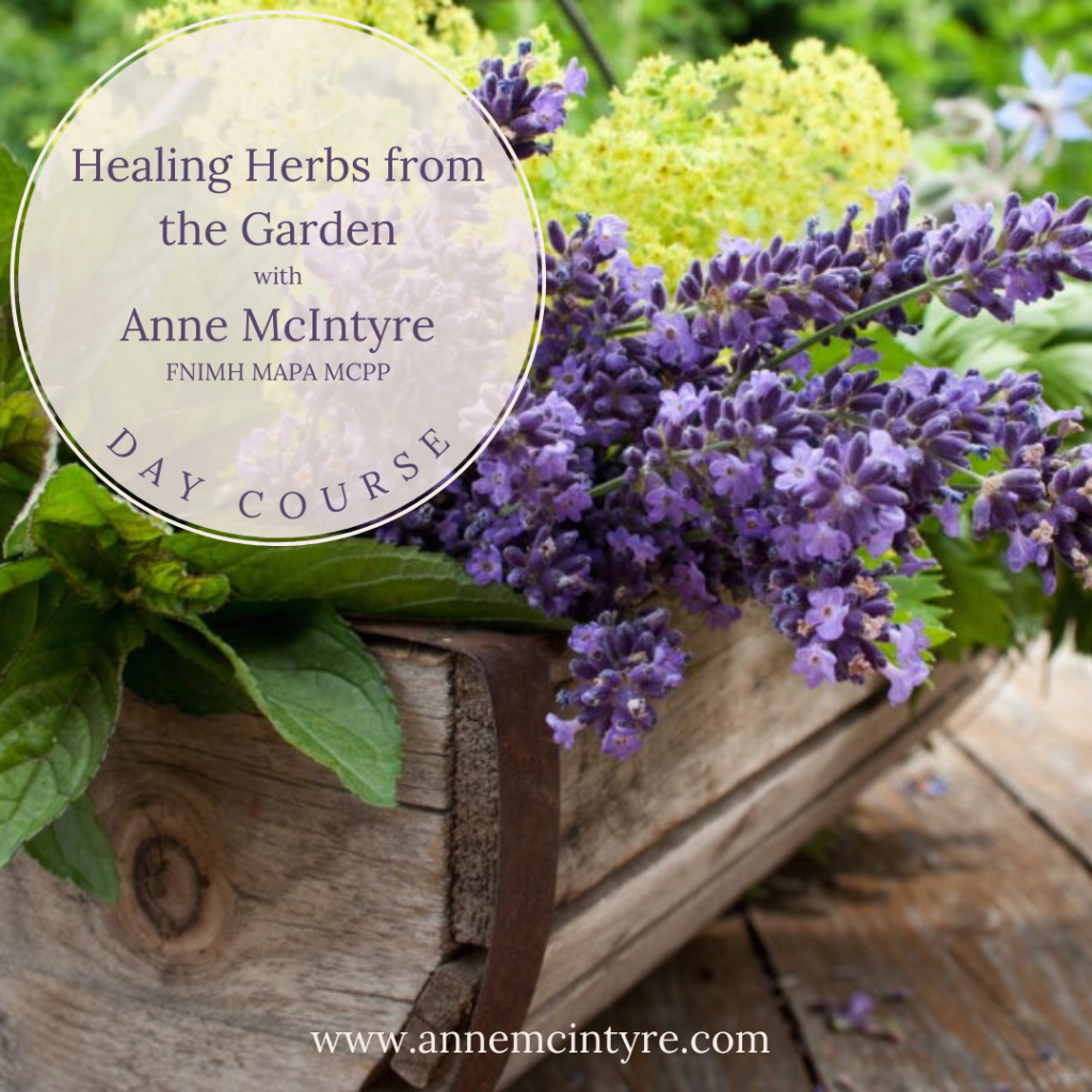 Courses & Workshops – Anne McIntyre