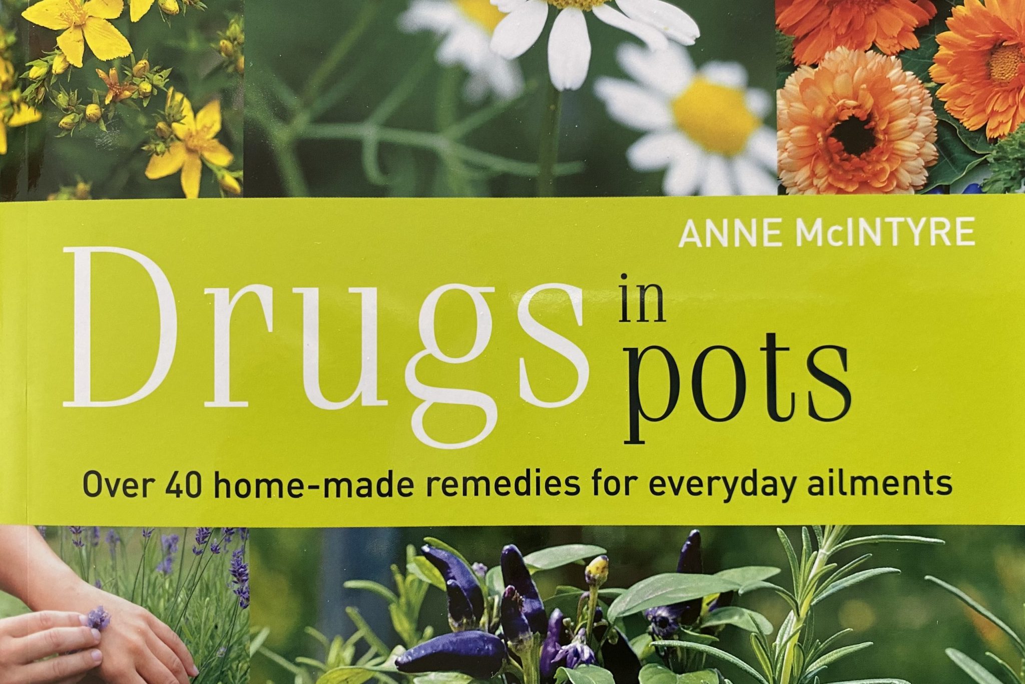 Anne McIntyre – Medical Herbalist & Ayurvedic Practitioner