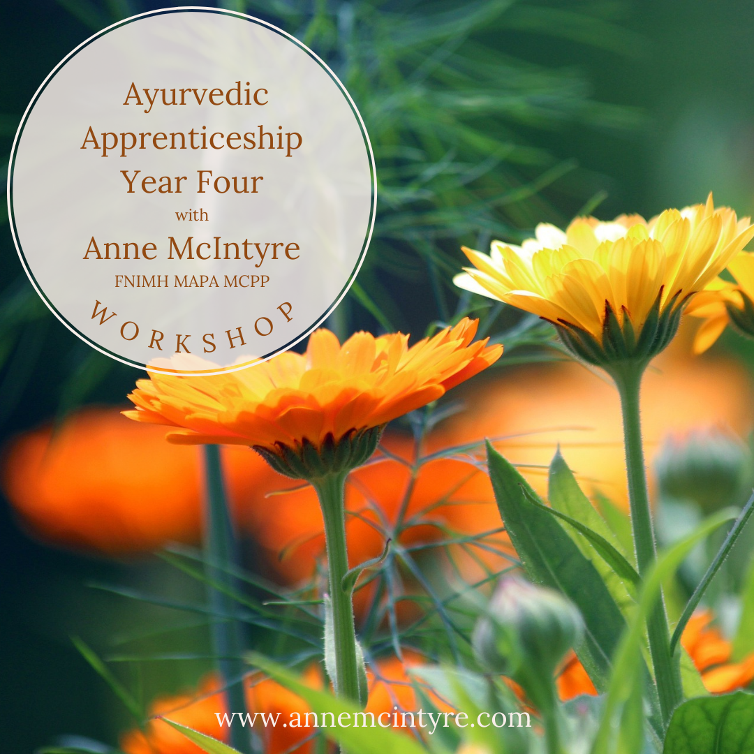 Courses & Workshops – Anne McIntyre