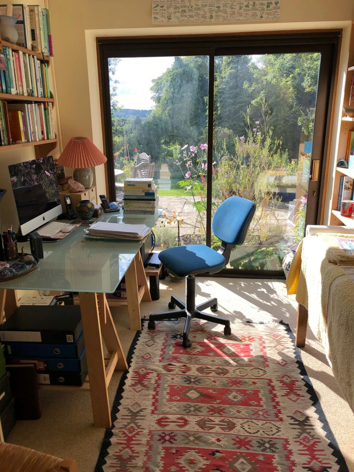 Clinics – Anne McIntyre