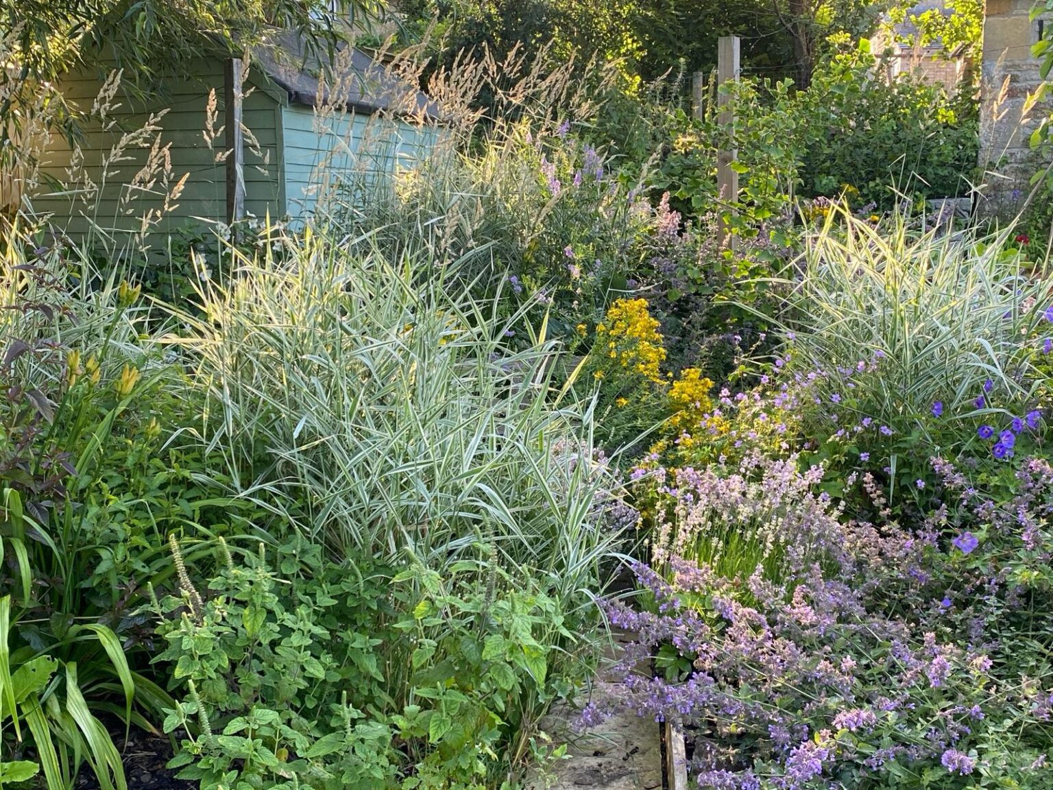 Anne McIntyre – Medical Herbalist & Ayurvedic Practitioner