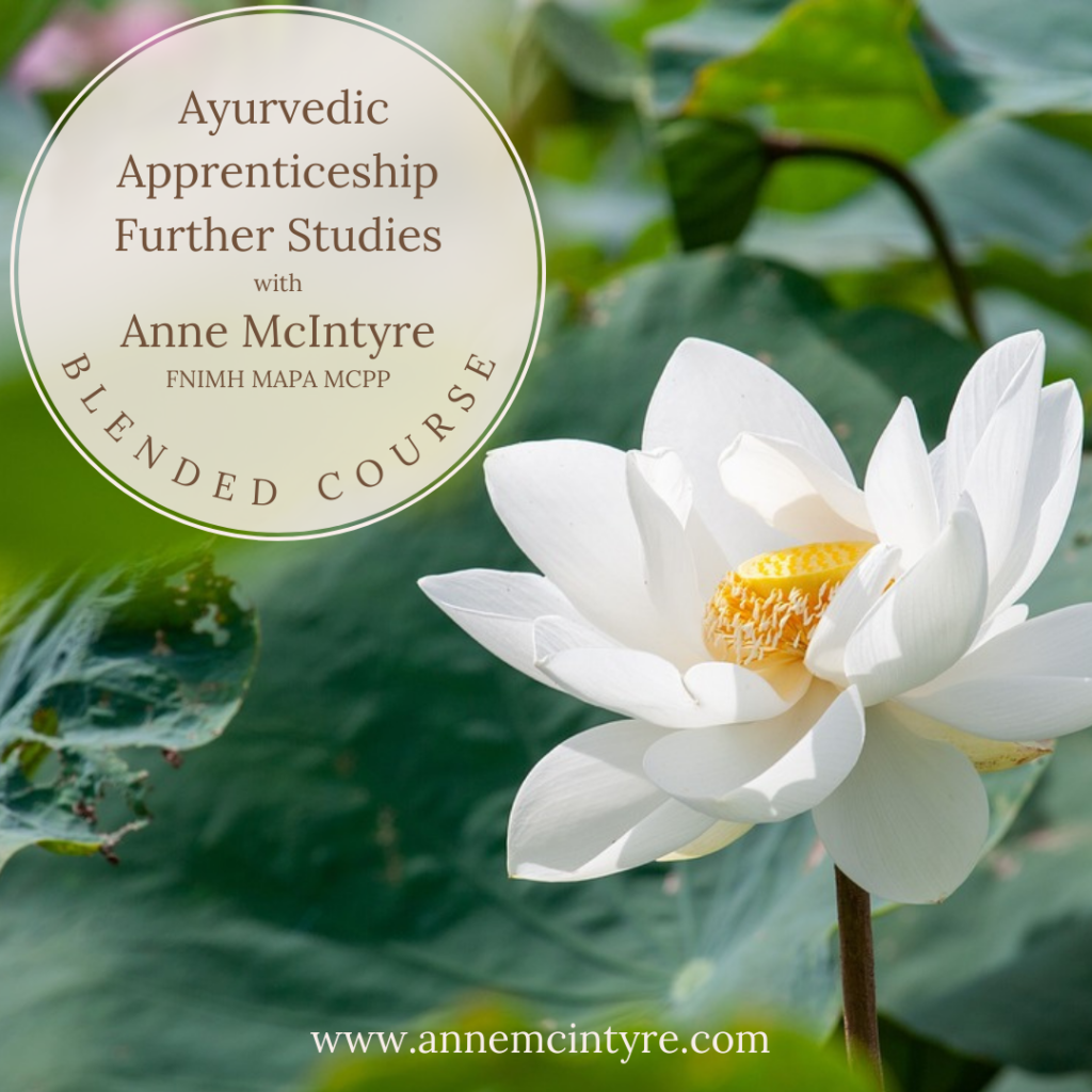 Courses & Workshops – Anne McIntyre
